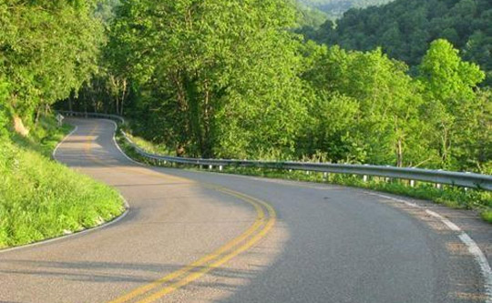 Events - London Cobra Show